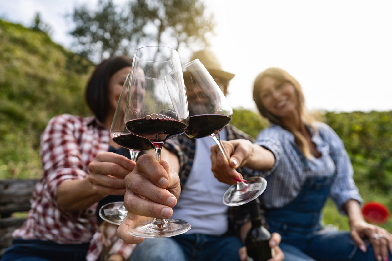 Seven best wineries you need to try in Canada – CIRA