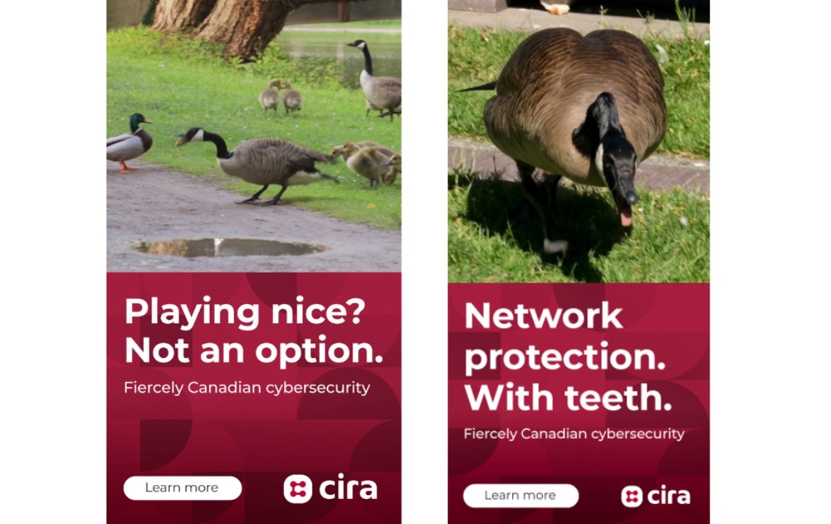 With “Cybersecurity that bites back,” CIRA unleashes the fierceness of ...
